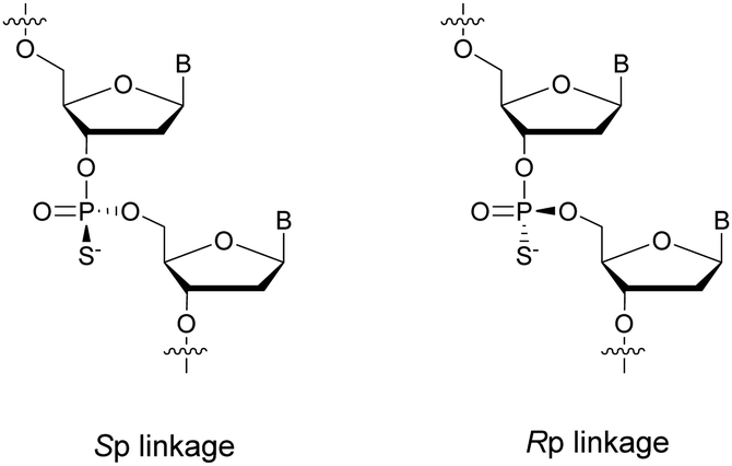 Modified internucleoside linkages for nuclease-resistant ...