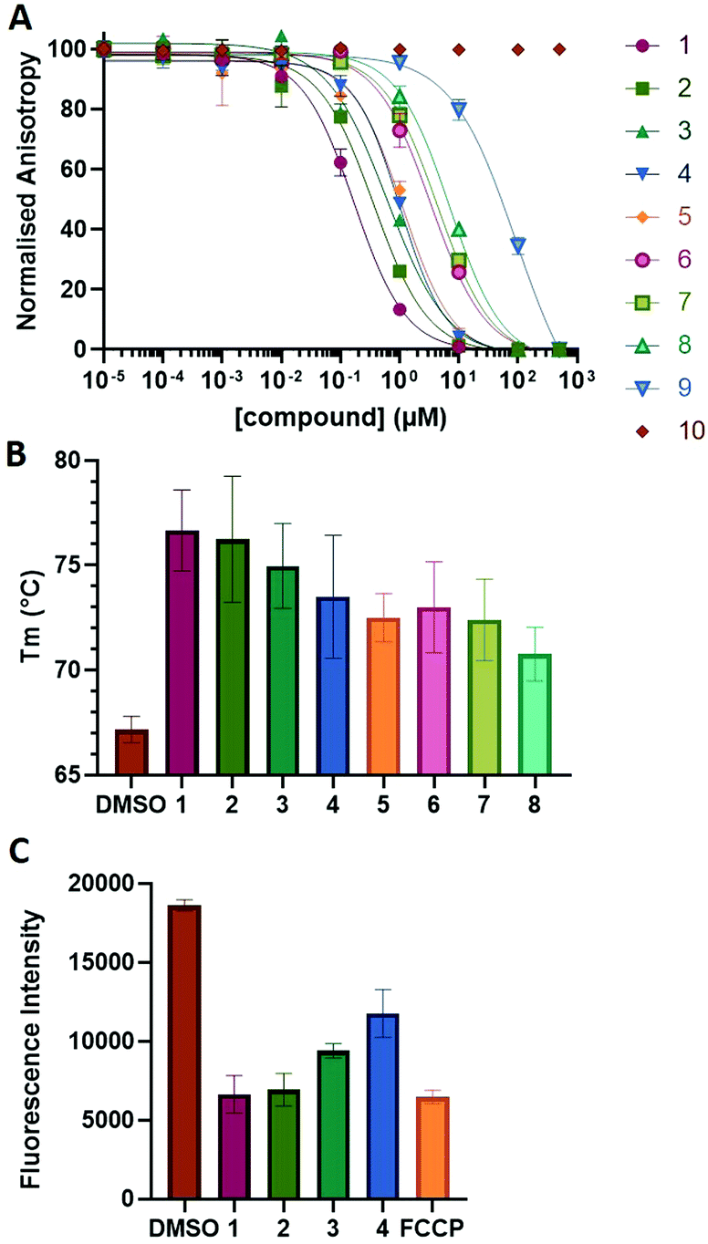 In silico peptide-directed ligand design complements experimental ...