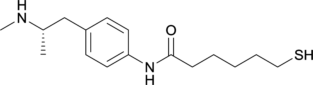 Immunopharmacotherapeutic advancements in addressing methamphetamine ...