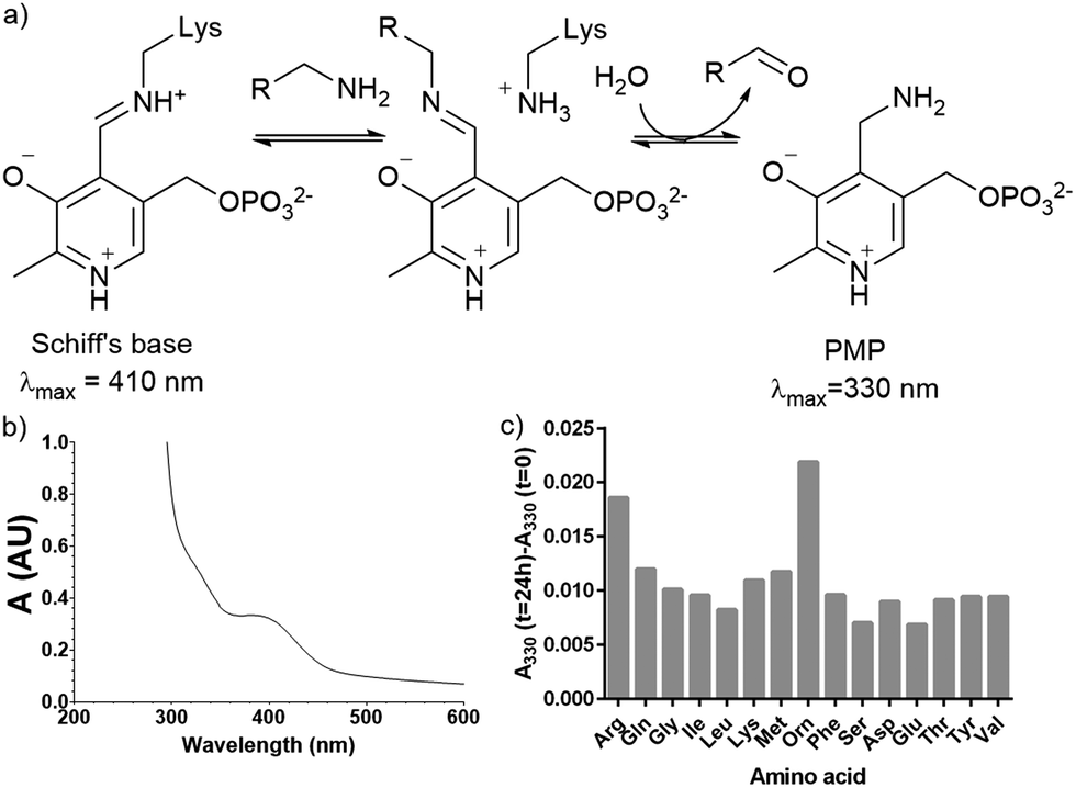 Revision in the first steps of the biosynthesis of the red antibiotic ...