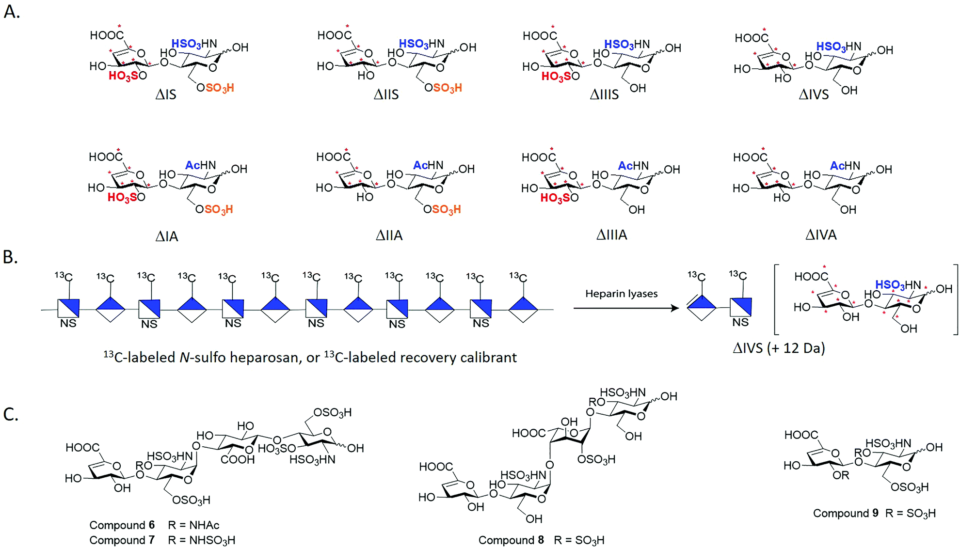 Investigation of the biological functions of heparan sulfate using a ...