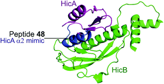 Modulators of protein–protein interactions as antimicrobial agents ...