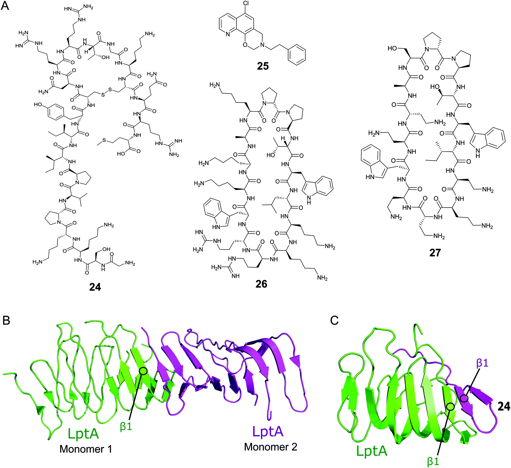 Modulators of protein–protein interactions as antimicrobial agents - RSC Chemical Biology (RSC ...