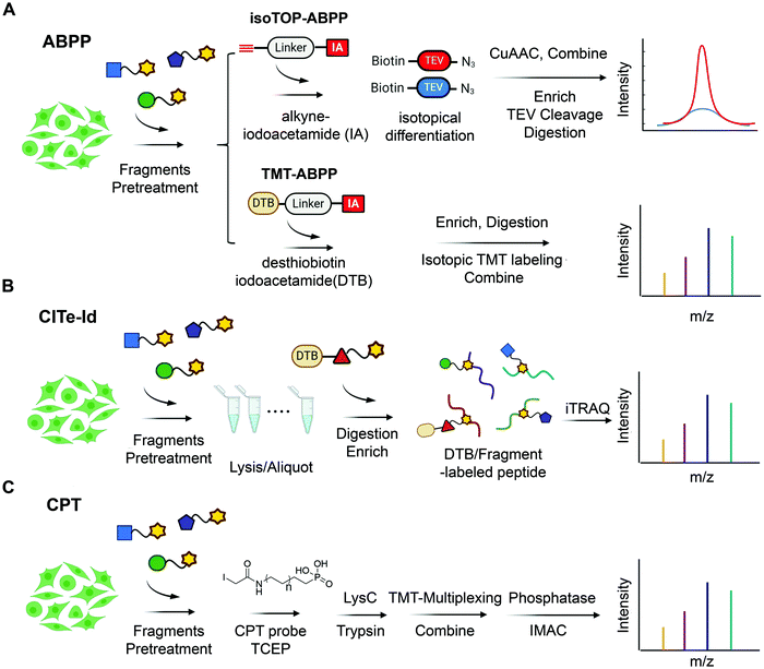 Fragment-based covalent ligand discovery - RSC Chemical Biology (RSC ...