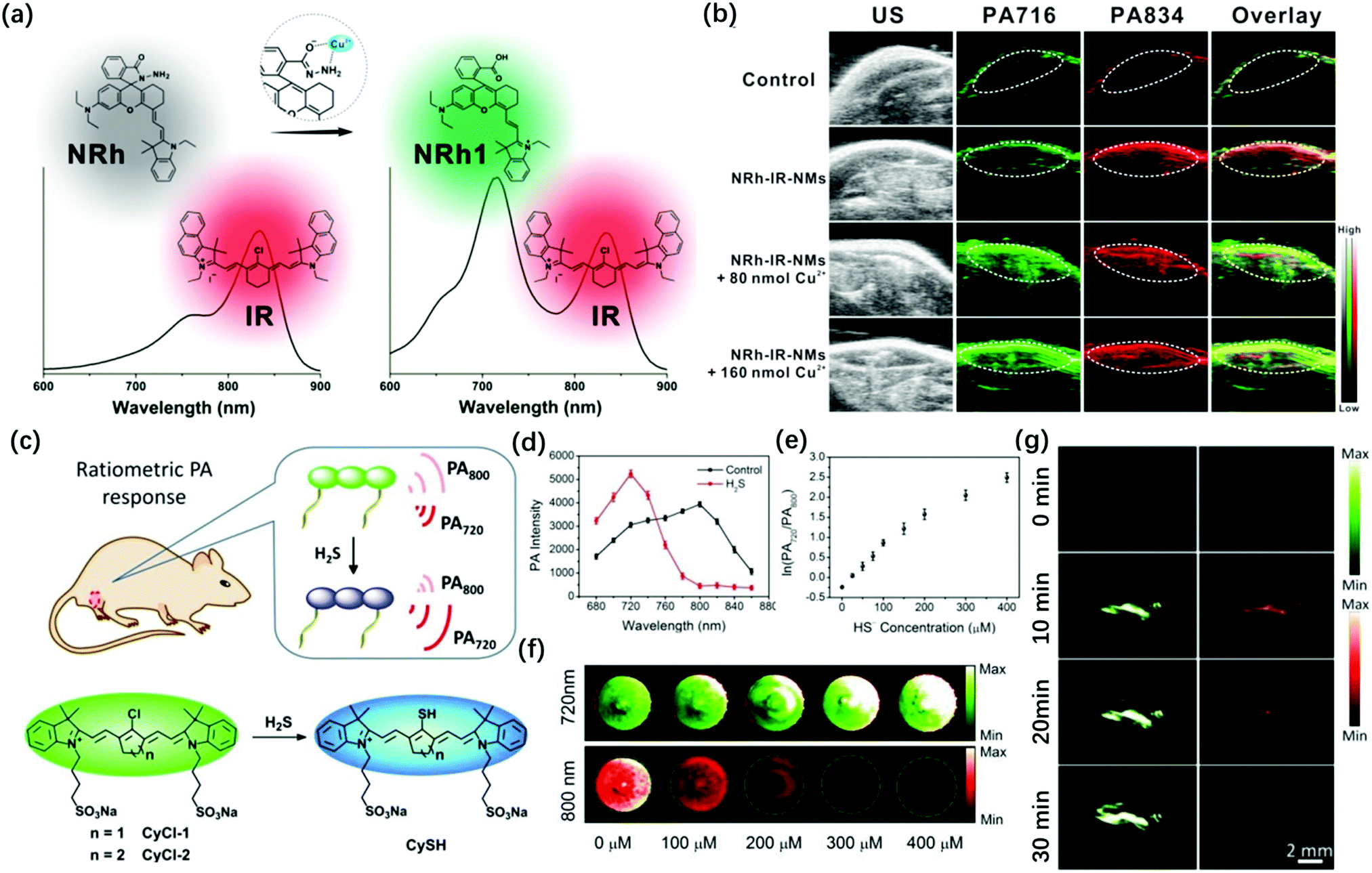 Recent development of near-infrared photoacoustic probes based on small ...
