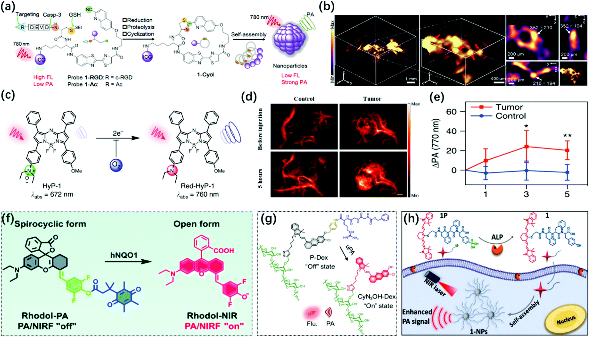 Recent development of near-infrared photoacoustic probes based on small ...