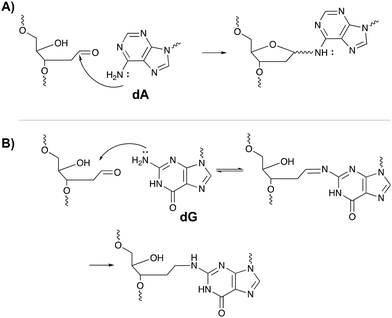 Crosslinker-modified nucleic acid probes for improved target ...