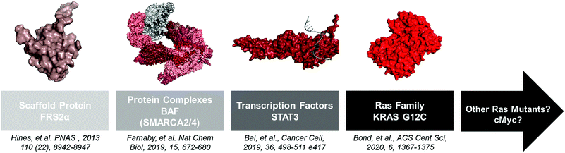 Proteolysis targeting chimeras (PROTACs) come of age: entering the ...