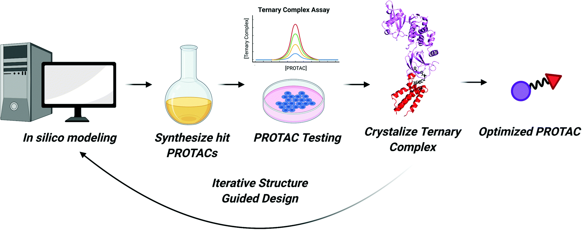 Proteolysis targeting chimeras (PROTACs) come of age: entering the third decade of targeted ...