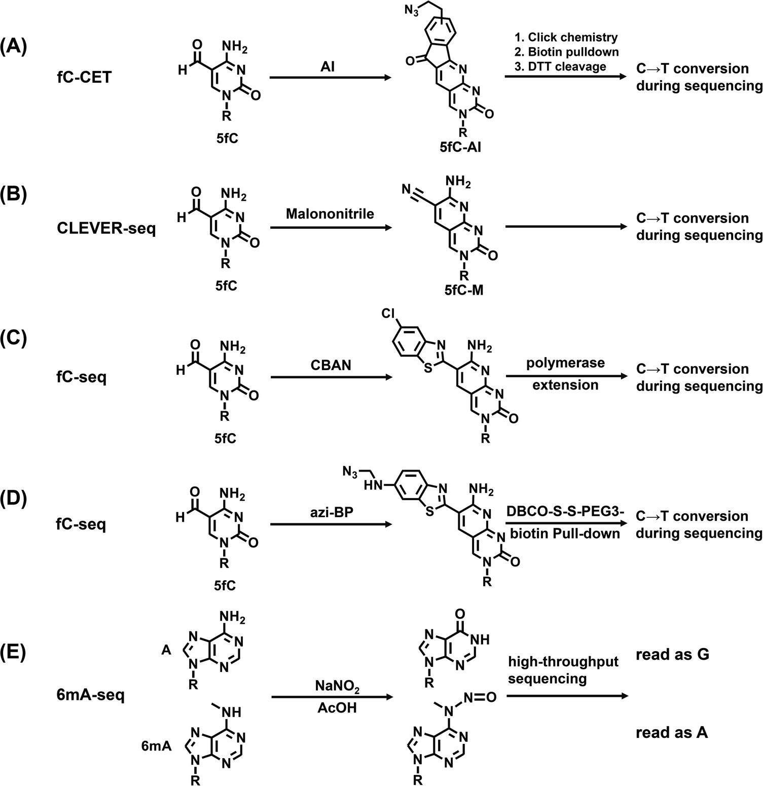 Quantification and mapping of DNA modifications - RSC Chemical Biology ...