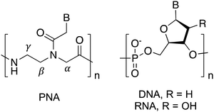 Evaluating the effect of ionic strength on PNA:DNA duplex formation ...