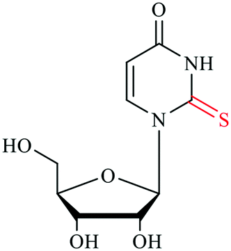 Sulfur modification in natural RNA and therapeutic oligonucleotides ...