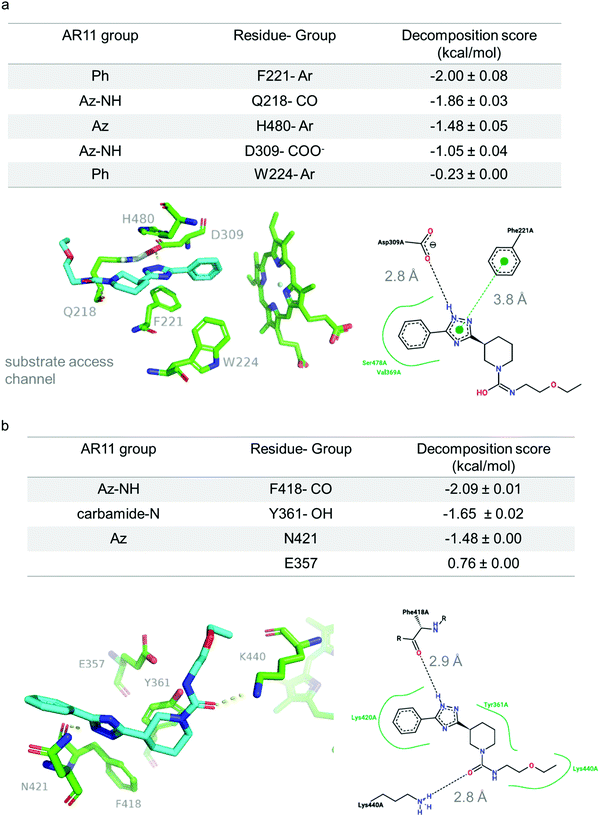 Mechanisms of allosteric and mixed mode aromatase inhibitors - RSC ...
