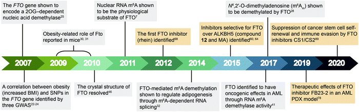 Targeting the RNA demethylase FTO for cancer therapy - RSC Chemical ...
