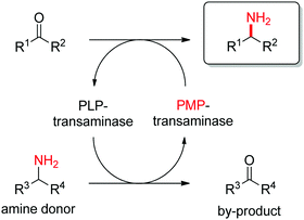 Enzymatic strategies for asymmetric synthesis - RSC Chemical Biology ...