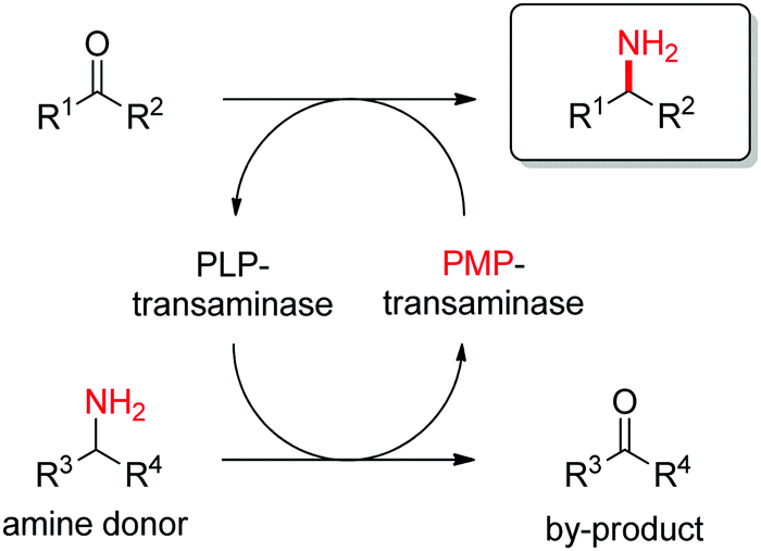 Enzymatic strategies for asymmetric synthesis - RSC Chemical Biology ...