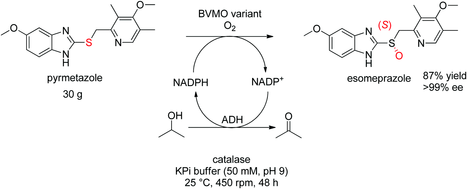 Enzymatic strategies for asymmetric synthesis - RSC Chemical Biology ...