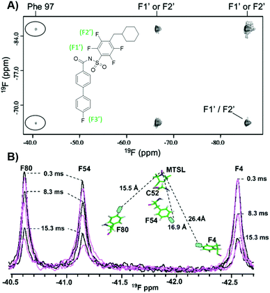 19 F NMR viewed through two different lenses: ligand-observed and ...