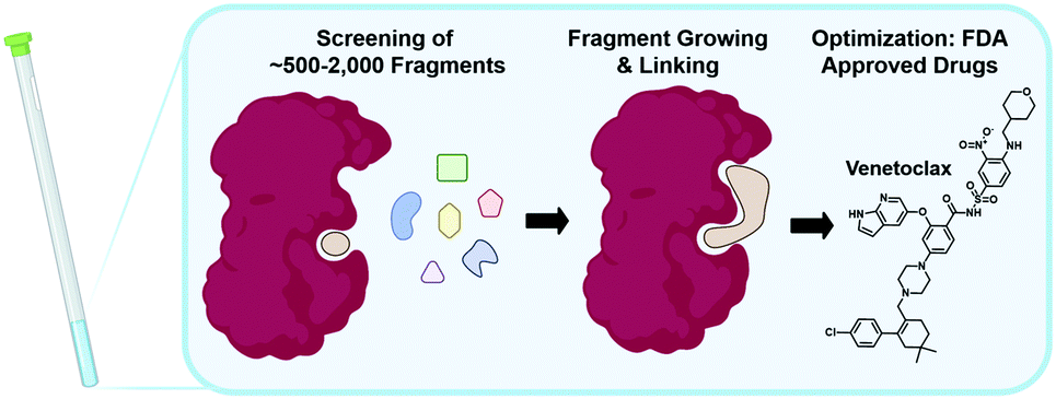 19 F NMR viewed through two different lenses: ligand-observed and ...