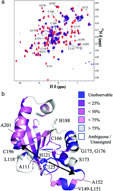 Environment and coordination of FeMo–co in the nitrogenase ...
