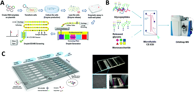 Faster, better, and cheaper: harnessing microfluidics and mass ...