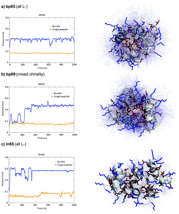 A mixed chirality α-helix in a stapled bicyclic and a linear ...