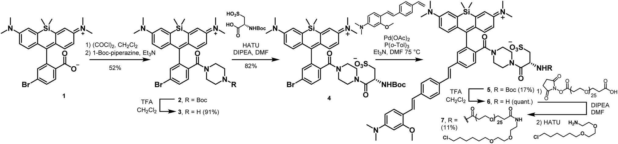 A silicon-rhodamine chemical-genetic hybrid for far red voltage imaging ...