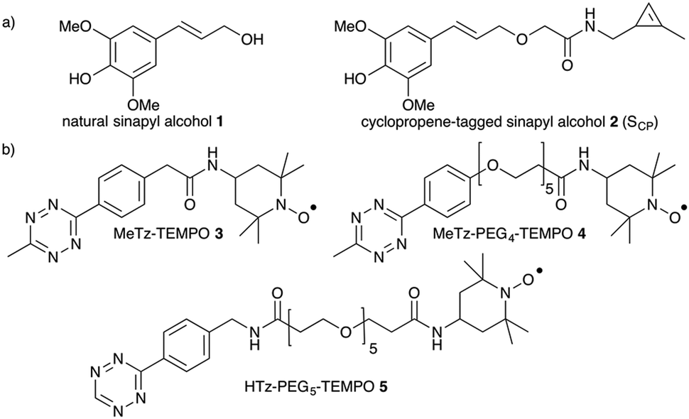 EPR imaging of sinapyl alcohol and its application to the study of ...