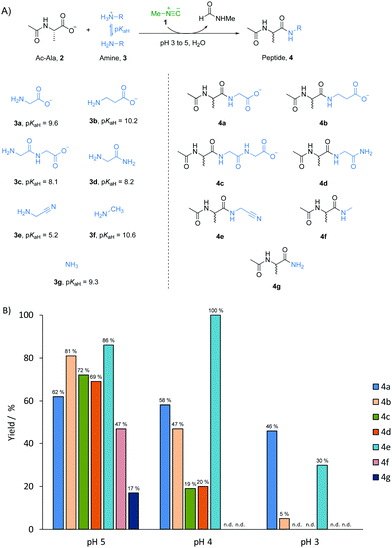 pH-Dependent peptide bond formation by the selective coupling of α ...