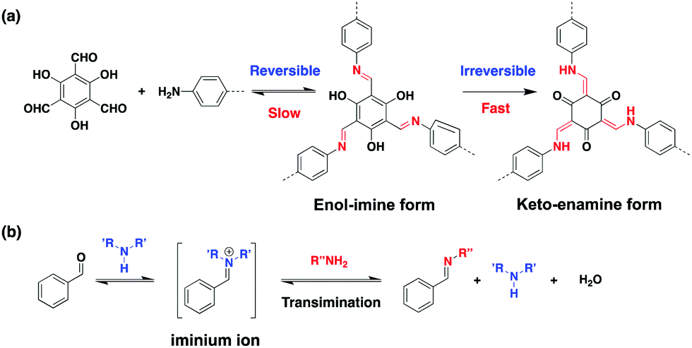 Organobase modulated synthesis of high-quality β-ketoenamine-linked ...
