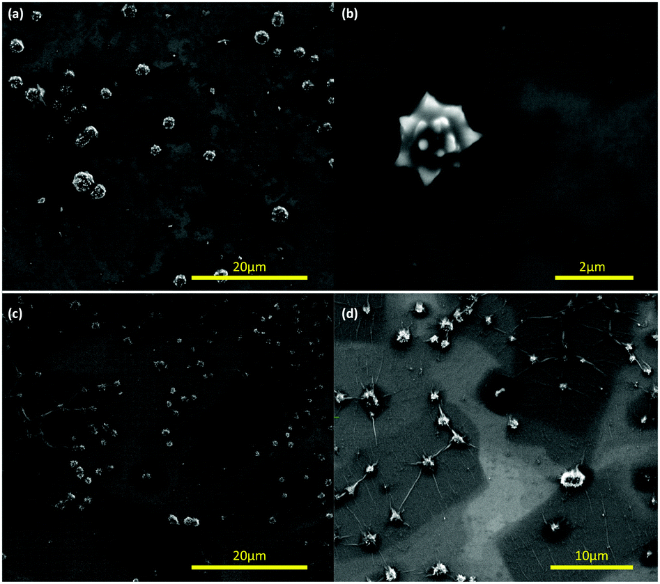 High shear spheroidal topological fluid flow induced coating of ...