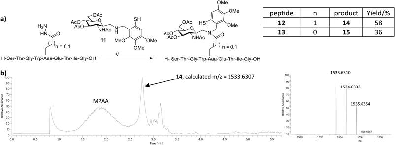Rapid access to Asp/Glu sidechain hydrazides as thioester precursors ...