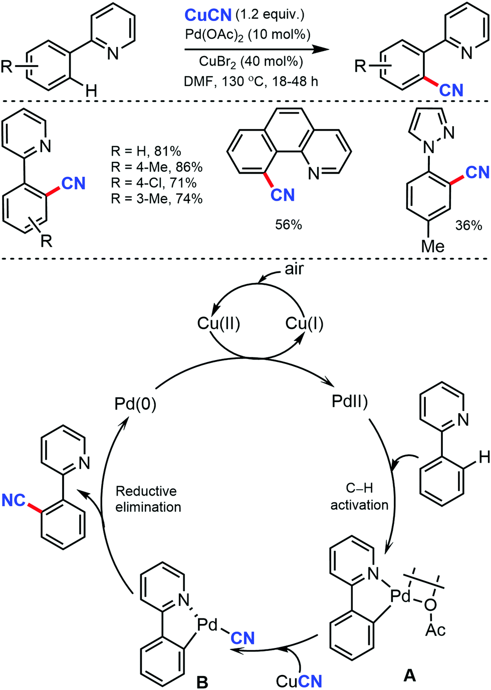 C–CN bond formation: an overview of diverse strategies - Chemical ...