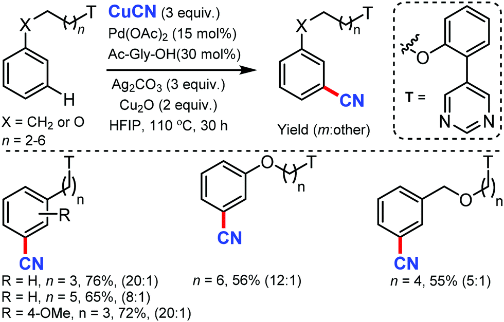C–CN bond formation: an overview of diverse strategies - Chemical ...