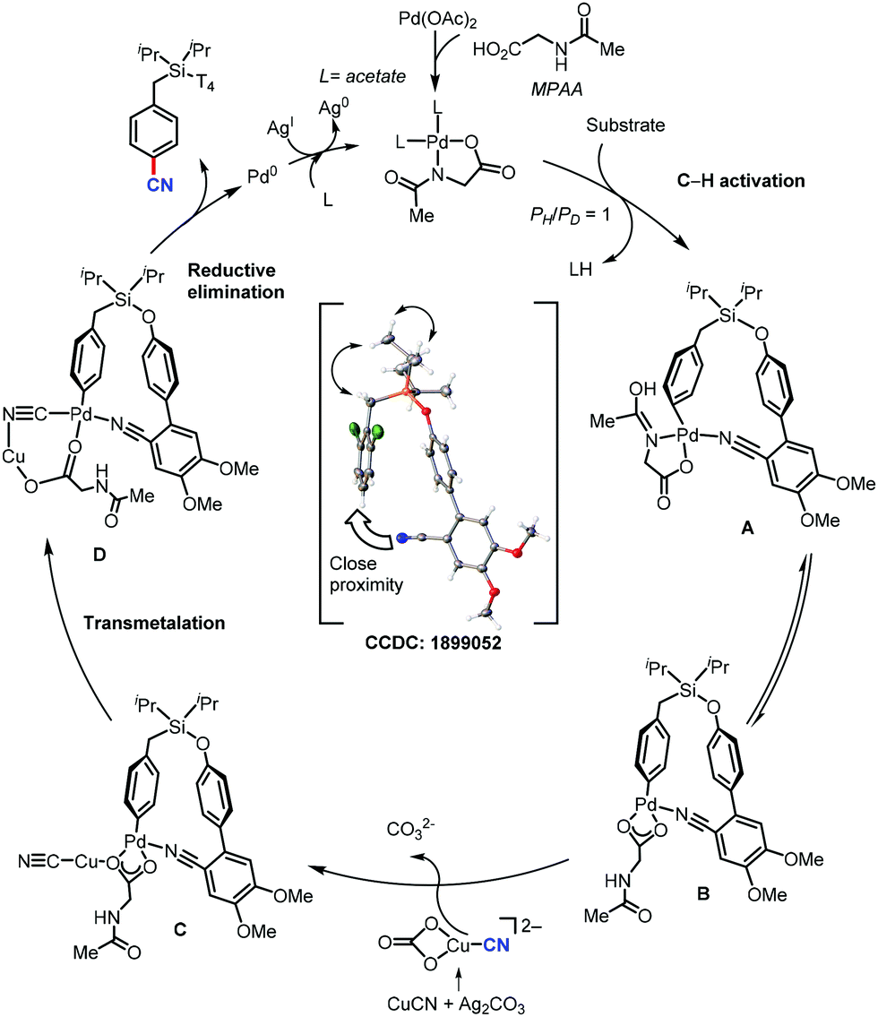 C–CN bond formation: an overview of diverse strategies - Chemical ...