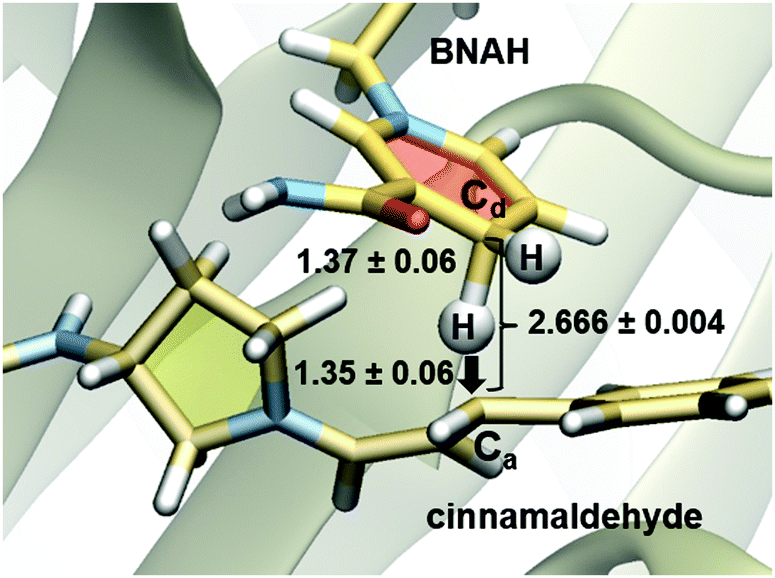 Transfer hydrogenations catalyzed by streptavidin-hosted secondary ...