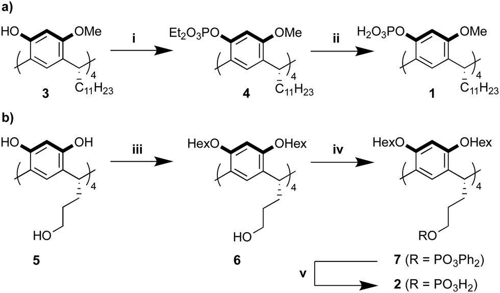 Resorcin[4]arene-based multidentate phosphate ligands with superior ...