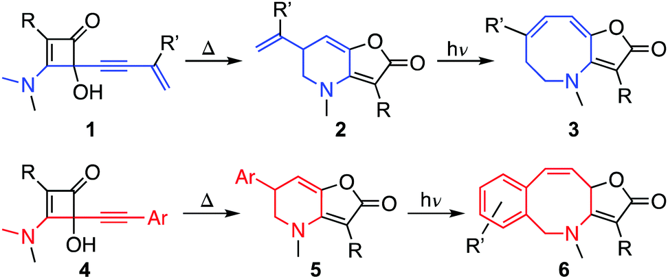 A photochemical ring expansion of 6- to 8-membered nitrogen ...