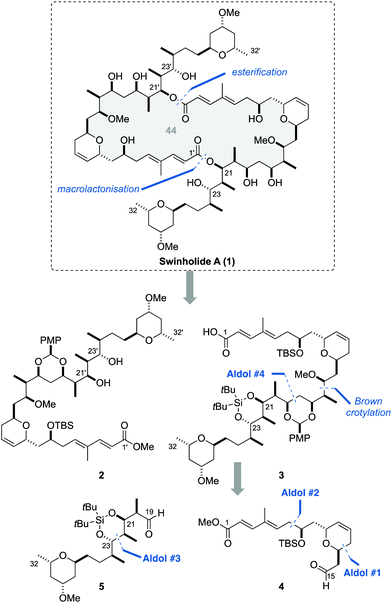 Conquering peaks and illuminating depths: developing stereocontrolled ...