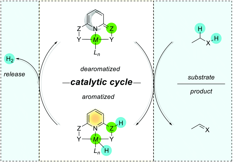 Aromaticity in catalysis: metal ligand cooperation via ligand ...