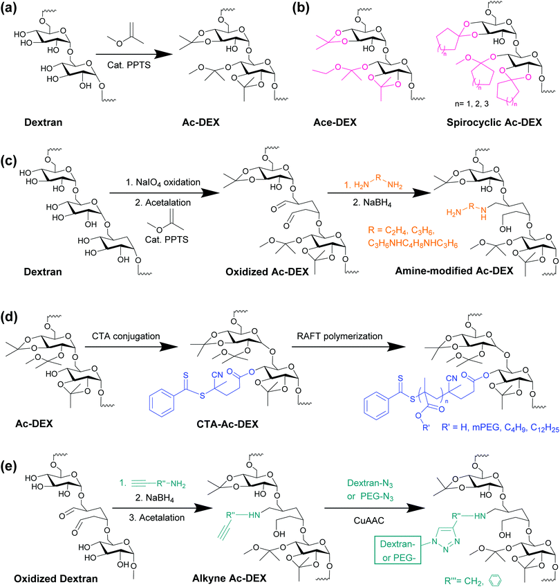 Acetalated dextran based nano- and microparticles: synthesis ...