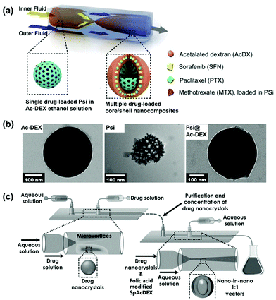 Acetalated dextran based nano- and microparticles: synthesis ...