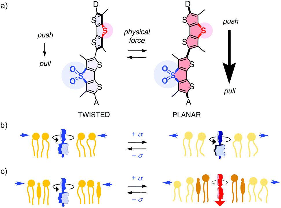 The primary dipole of flipper probes - Chemical Communications (RSC ...