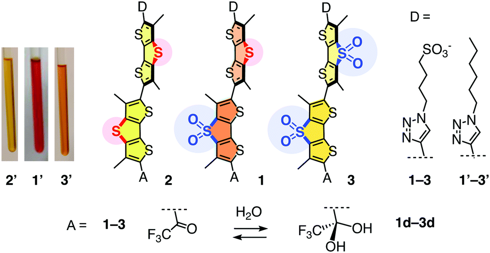 The primary dipole of flipper probes - Chemical Communications (RSC ...