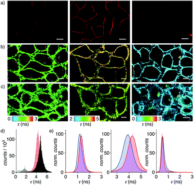 The primary dipole of flipper probes - Chemical Communications (RSC ...