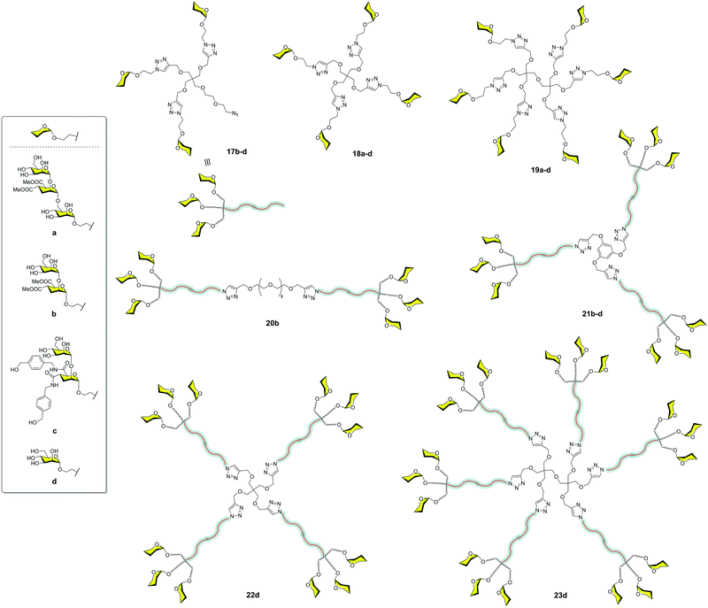 Glycodendritic structures as DC-SIGN binders to inhibit viral ...