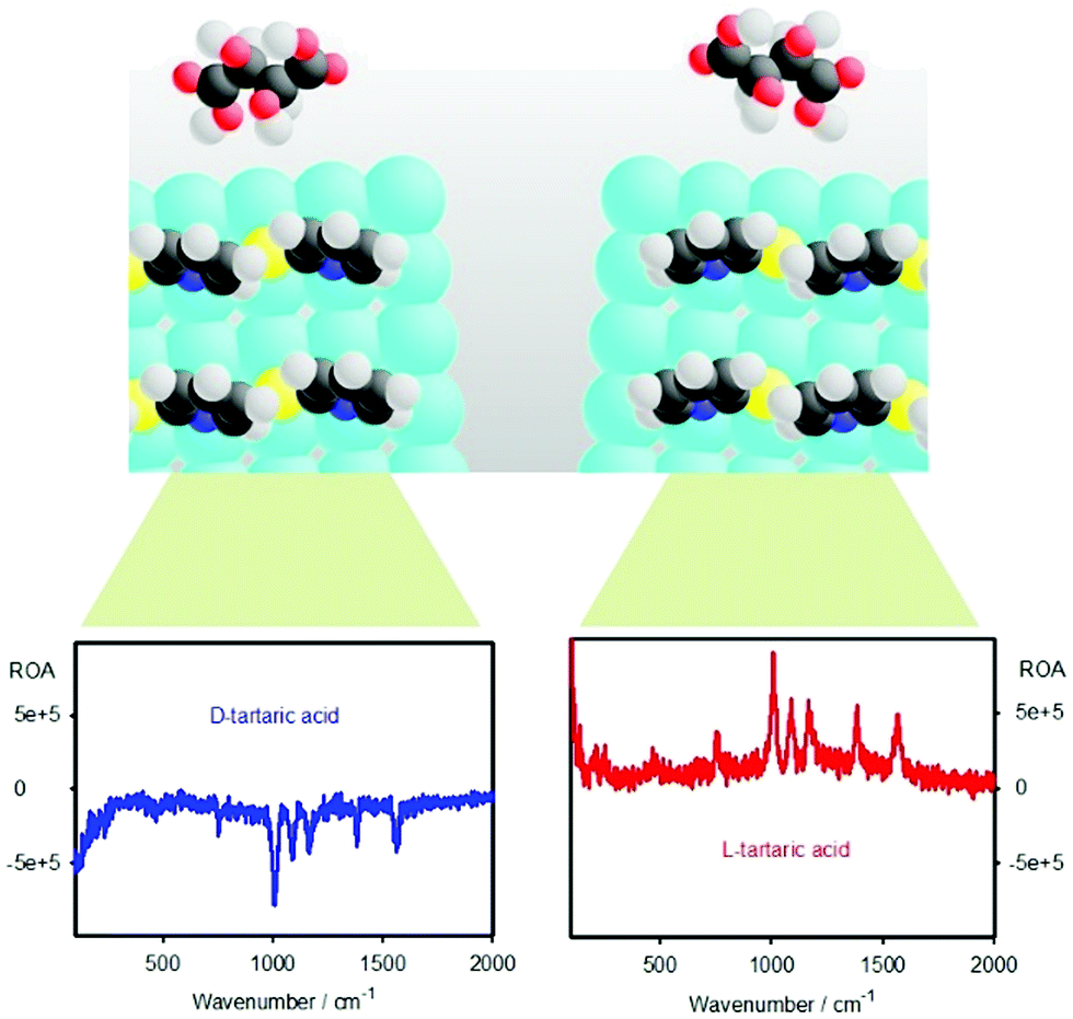 Chiral detection by induced surface-enhanced Raman optical activity ...