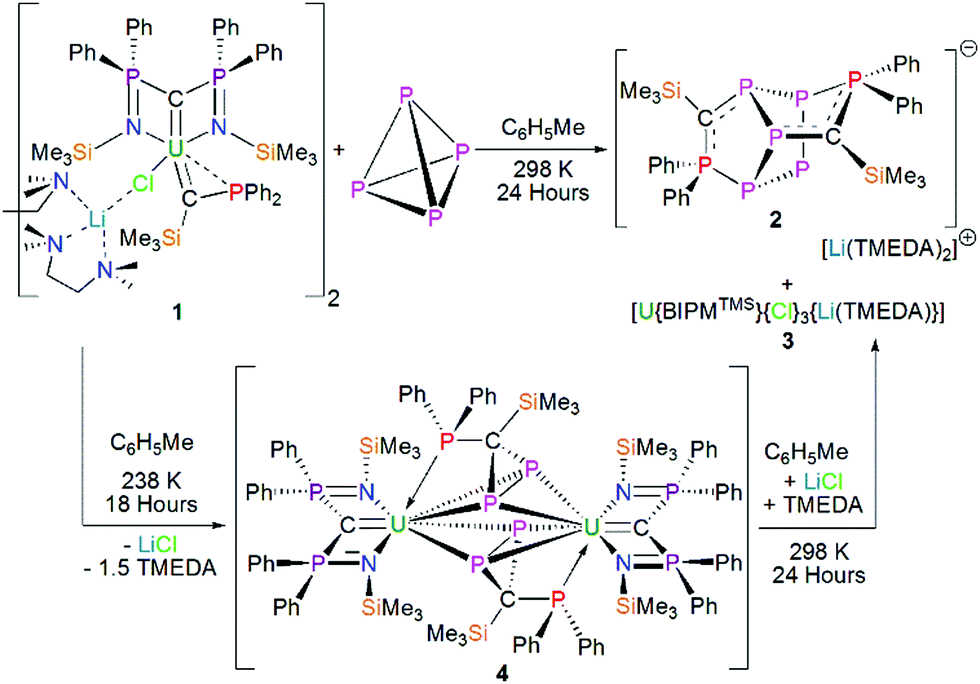 Fragmentation, catenation, and direct functionalisation of white ...