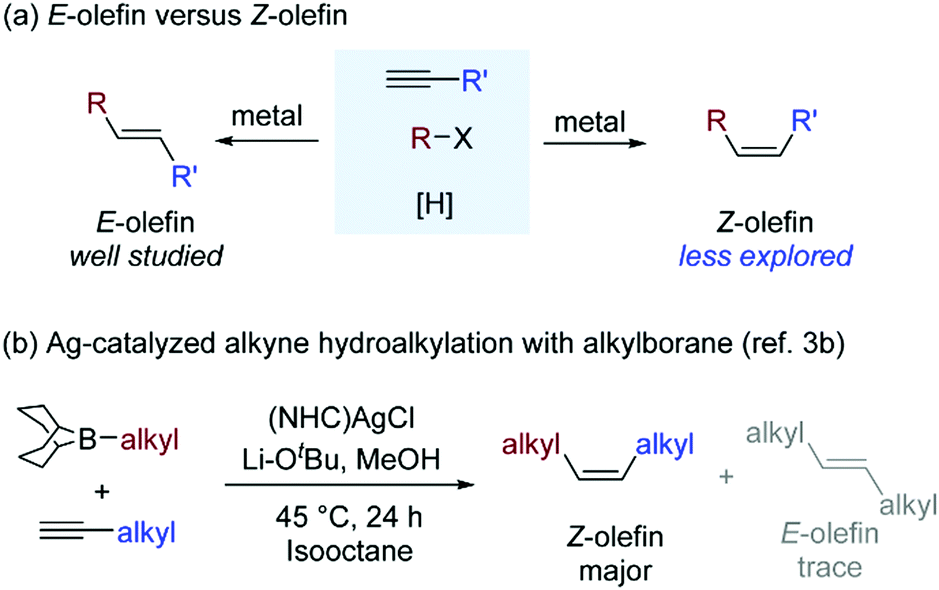 Computational study of silver-catalyzed stereoselective hydroalkylation ...