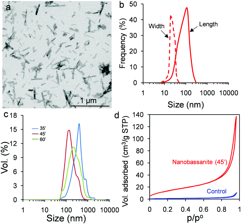 Synthesis of high surface area CaSO 4 ·0.5H 2 O nanorods using calcium ...